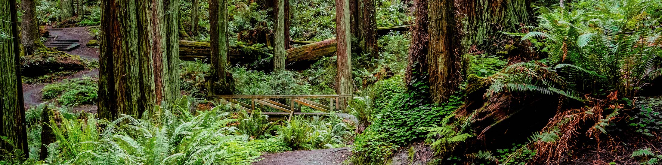 Arcata, CA | Official Website